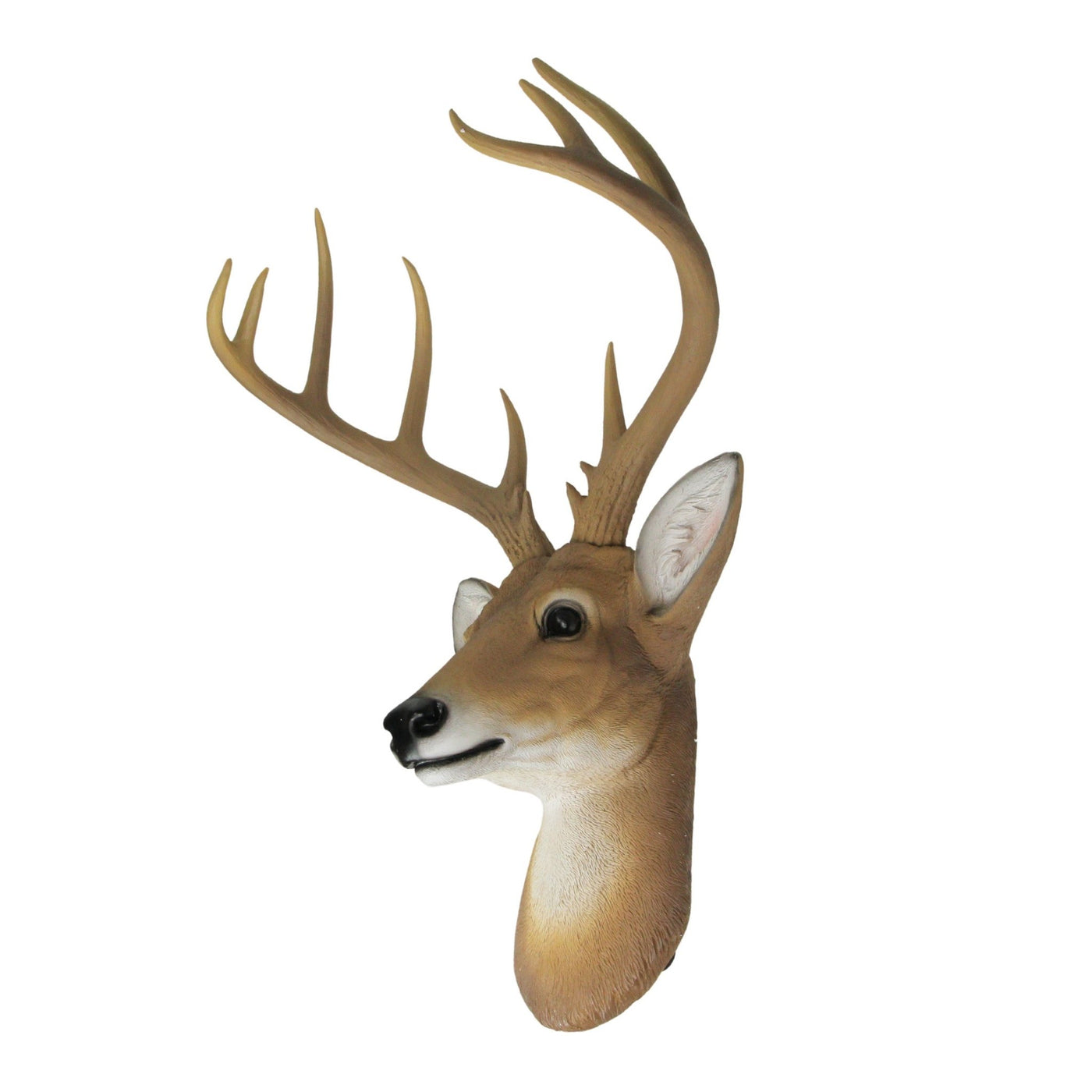 12 Point Buck Deer Head Bust Wall Hanging Lodge Decor Trophy Mount 23 ...
