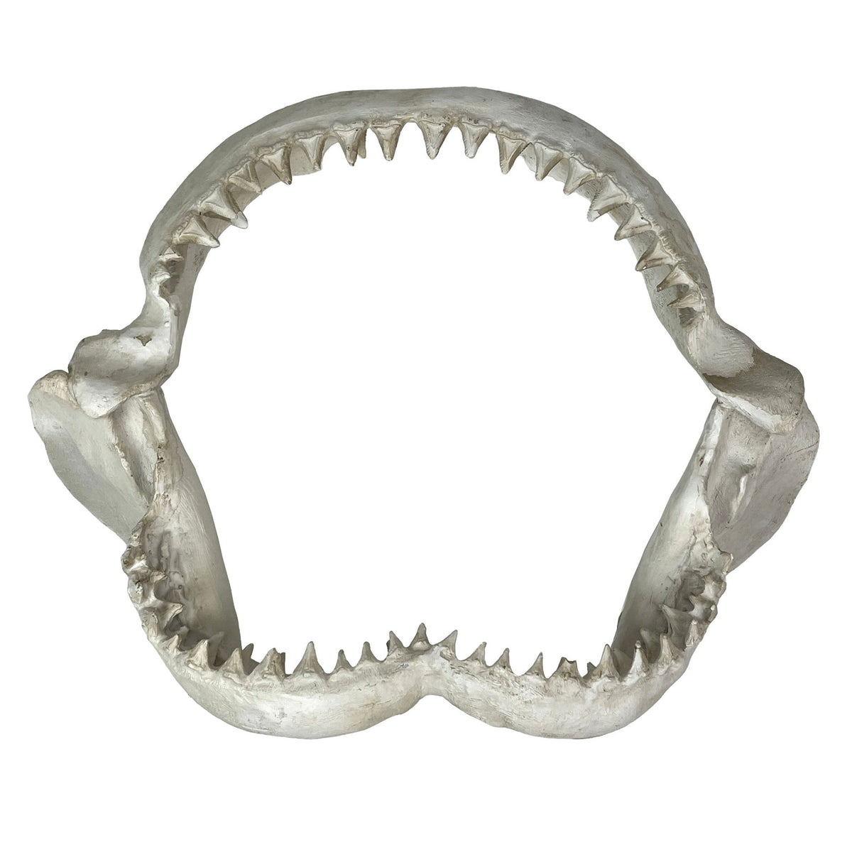 Replica Shark Jaw Wall Sculpture – Realistic Resin Shark Jaws with Tee ...